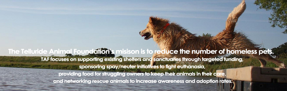 Telluride Animal Foundation